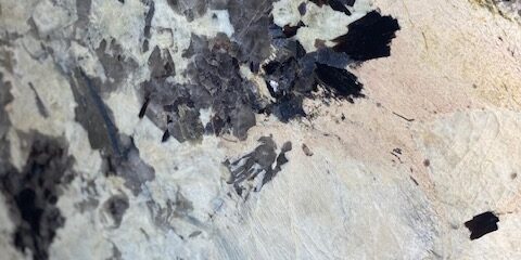 Splendor White | Superior Granite